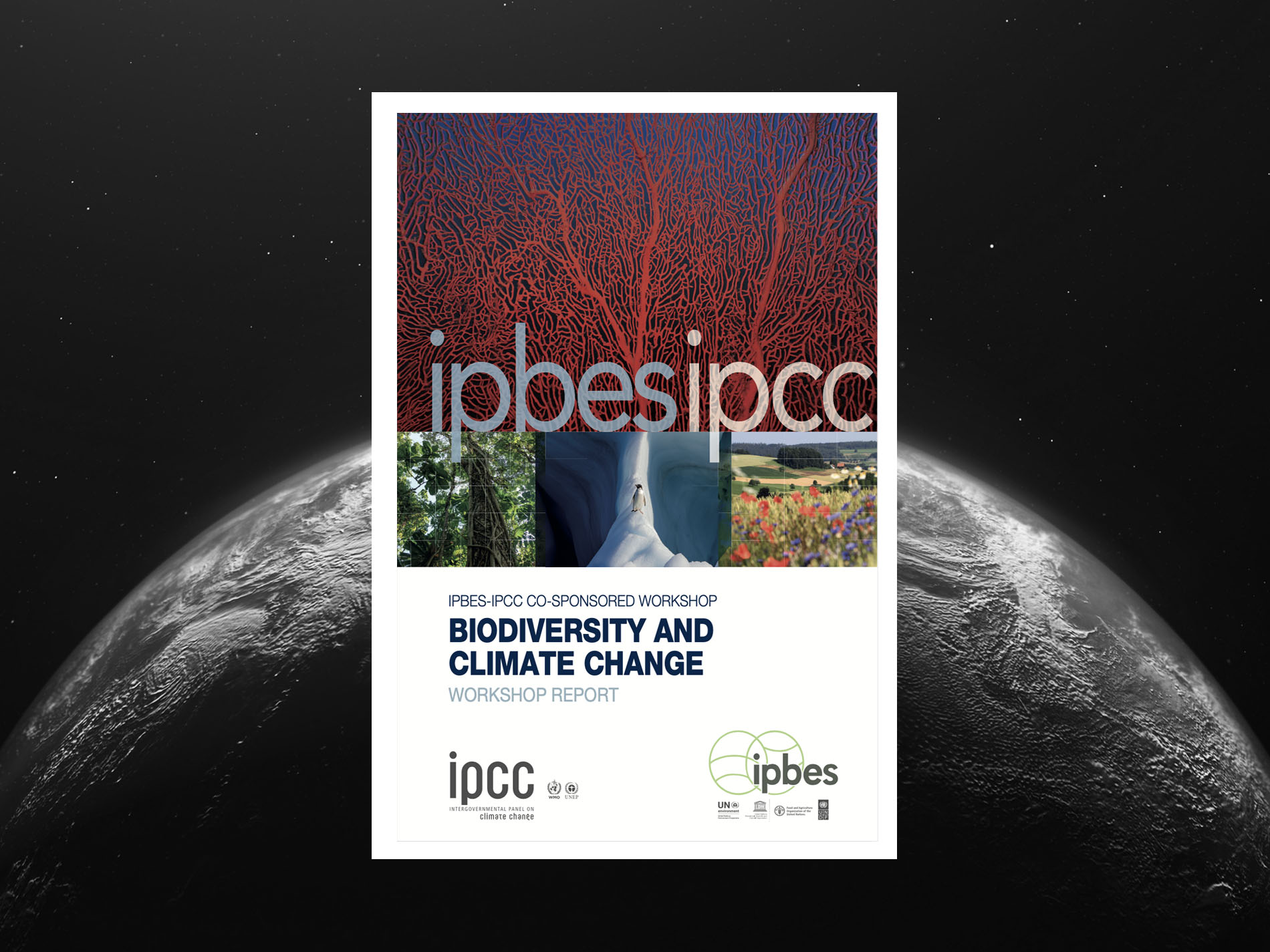 Biodiversity, Climate Change IPBES-IPCC report: the importance of wildlife