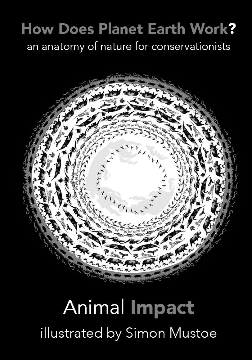 How does planet Earth work? 15 principles to understand - Wildlife in ...