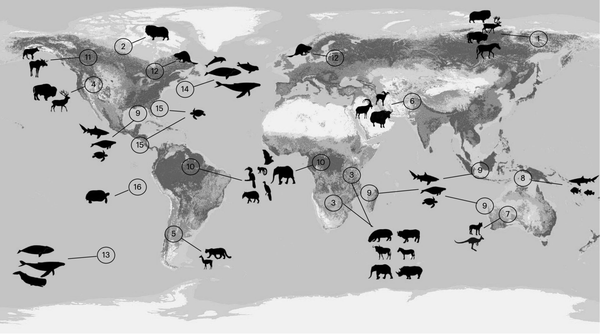 New climate paper - Wildlife in the Balance