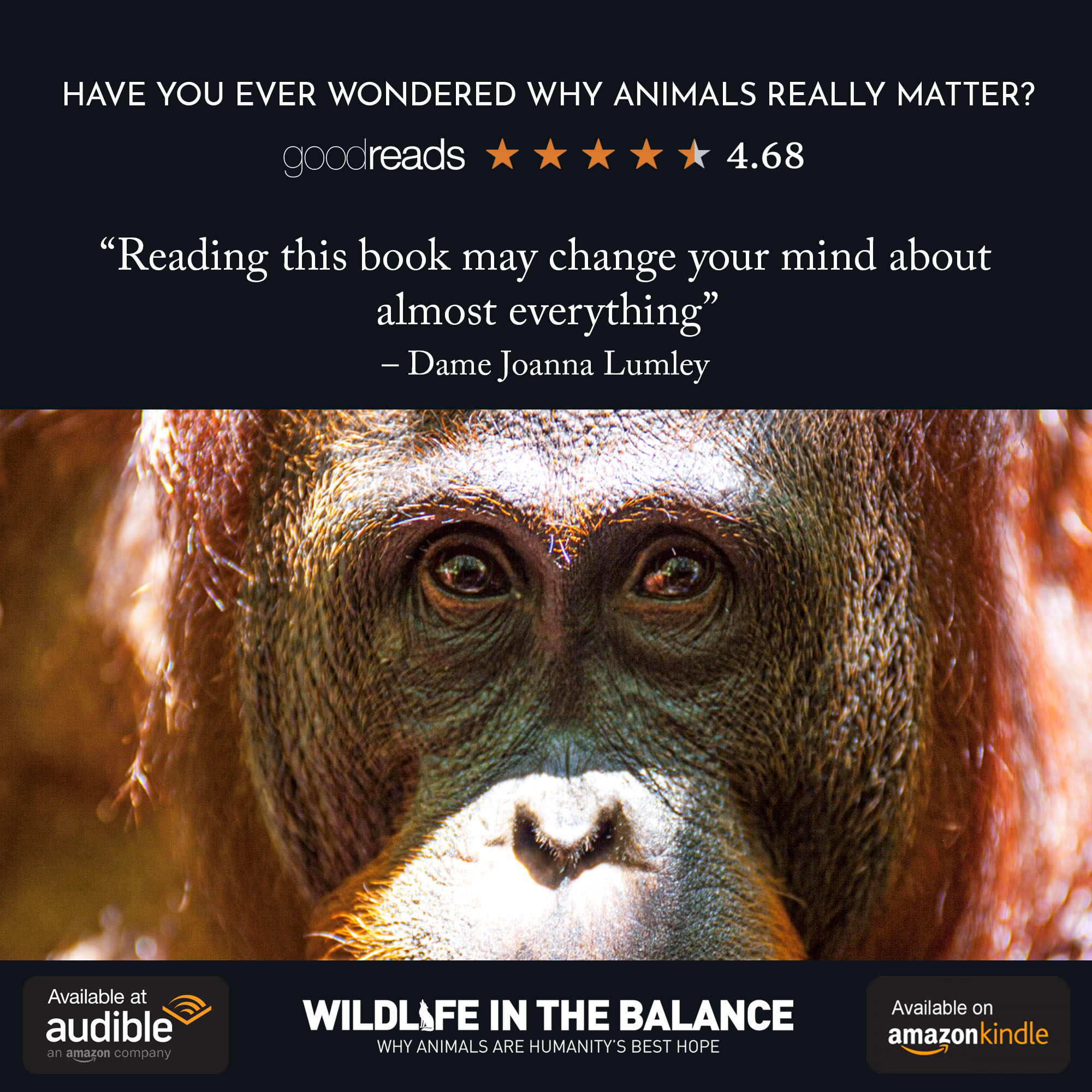 Why is wildlife conservation important? 5 powerful reasons - Wildlife ...