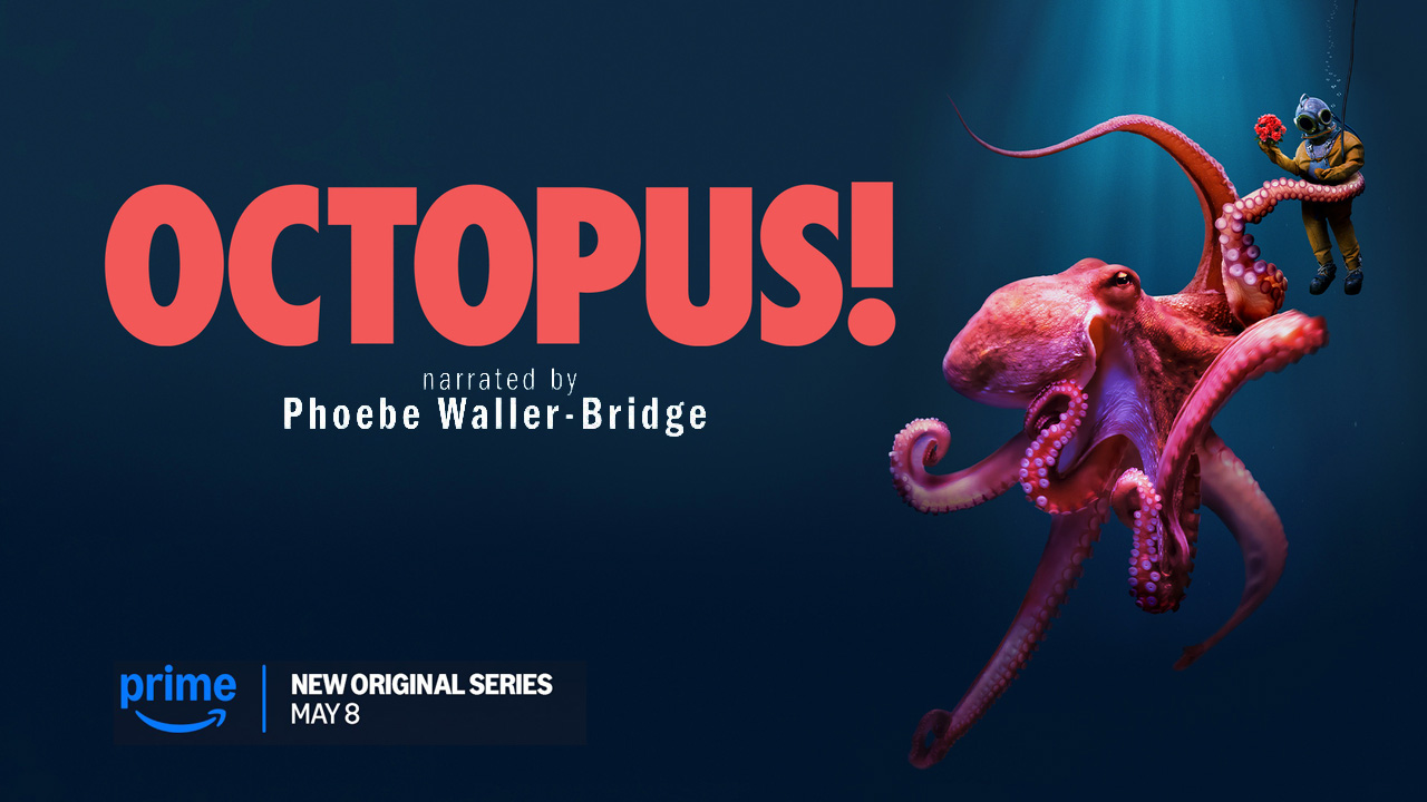 Is Prime's Octopus, the world's first comedy wildlife film? - Wildlife ...